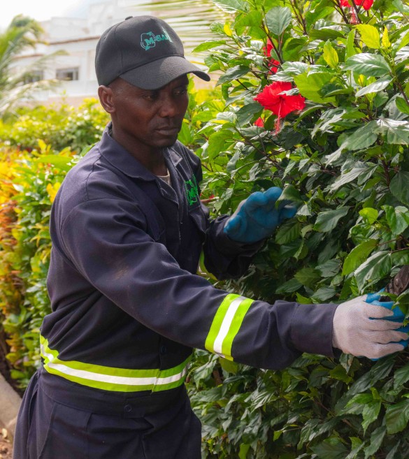M-Safi | Your Trusted Partner in Environmental Management.